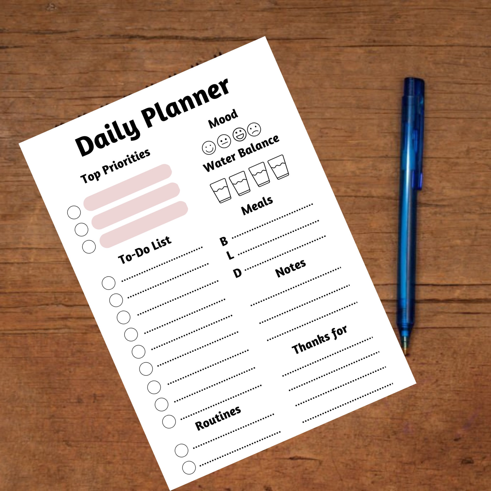 EDITABLE DAILY PLANNER, Printable Productivity Planner for Work, Daily ...