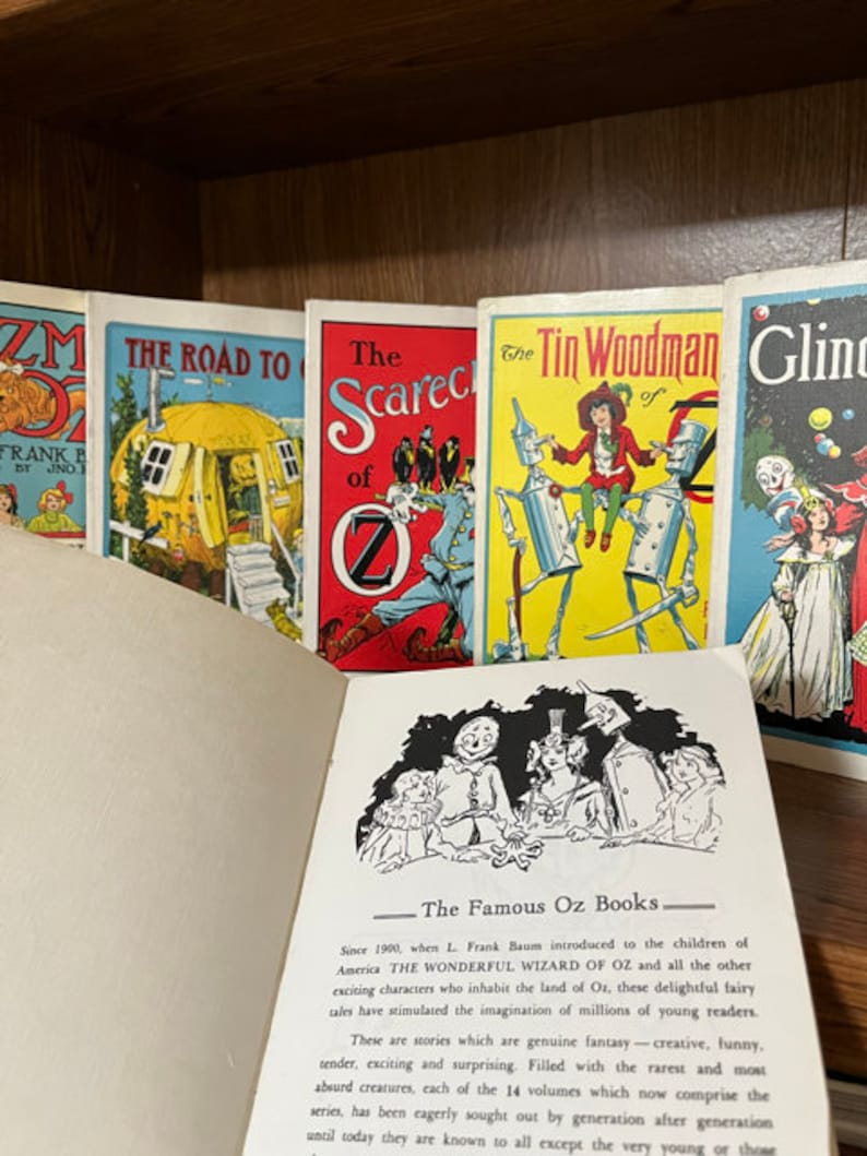 The Oz Books - Vintage Set From 1919 - Etsy