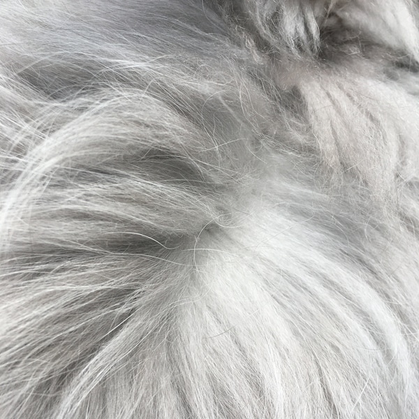 Angora Fiber - Etsy