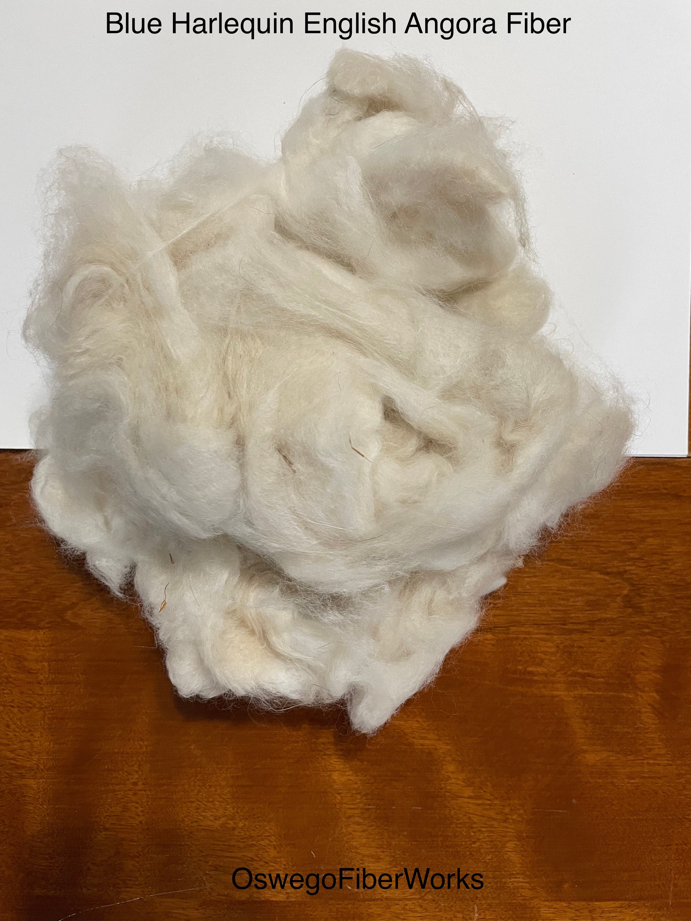 English Angora Rabbit Fiber - Etsy