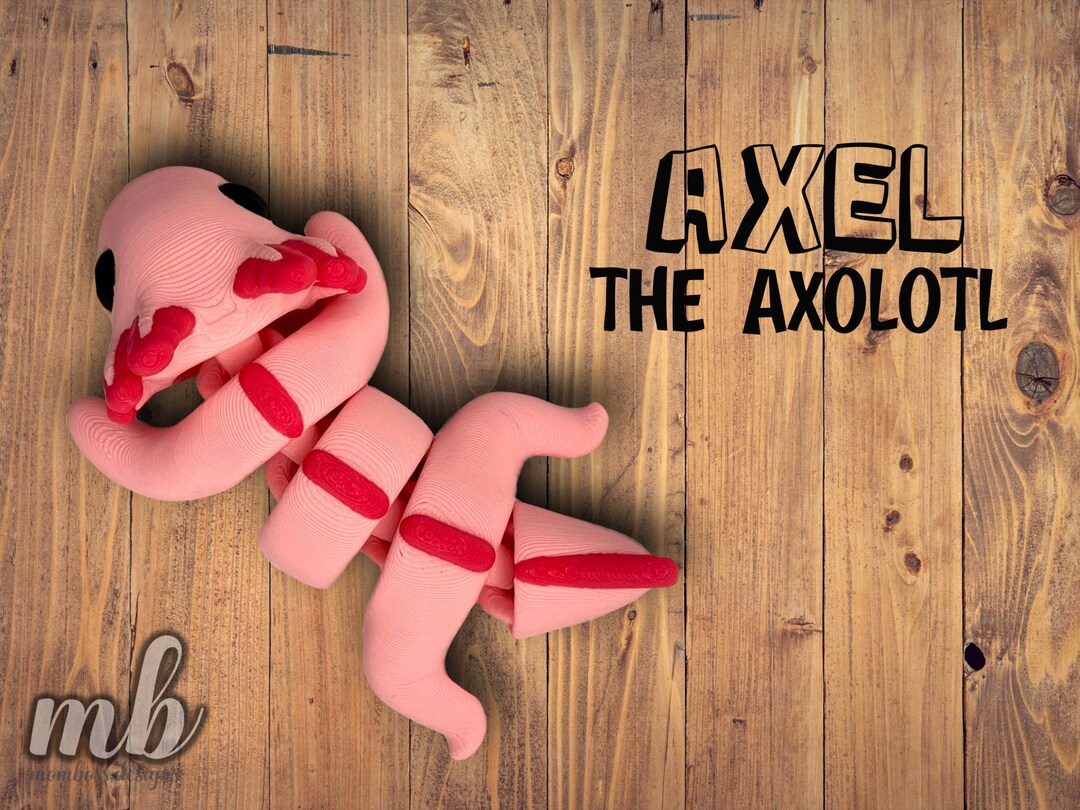 Axel the Axolotl 3D Printed Flexi Fidget - Etsy