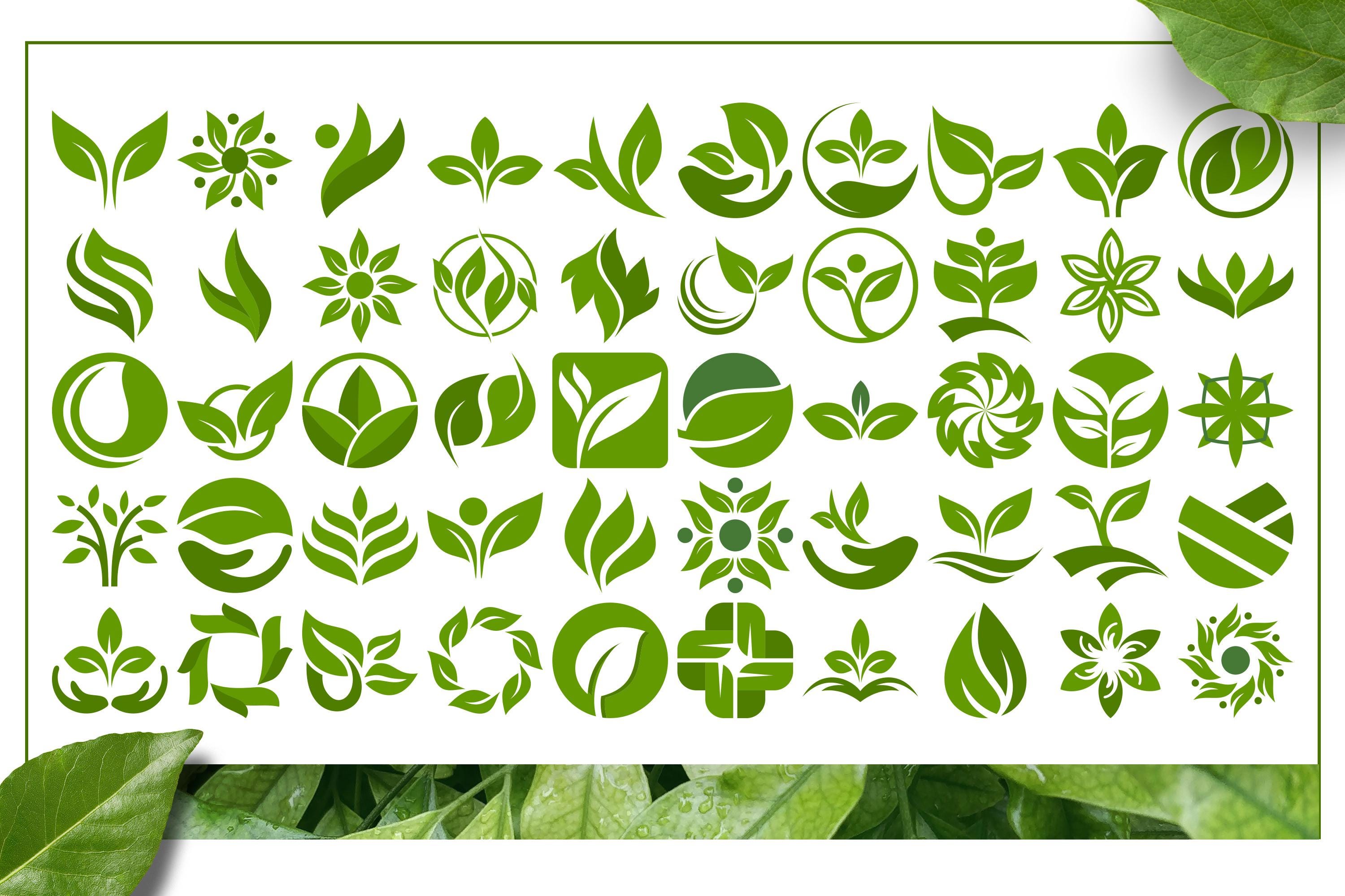 Leaf Logo SVG Bundle: Nature & Eco Design Vectors (digital Download) - Etsy