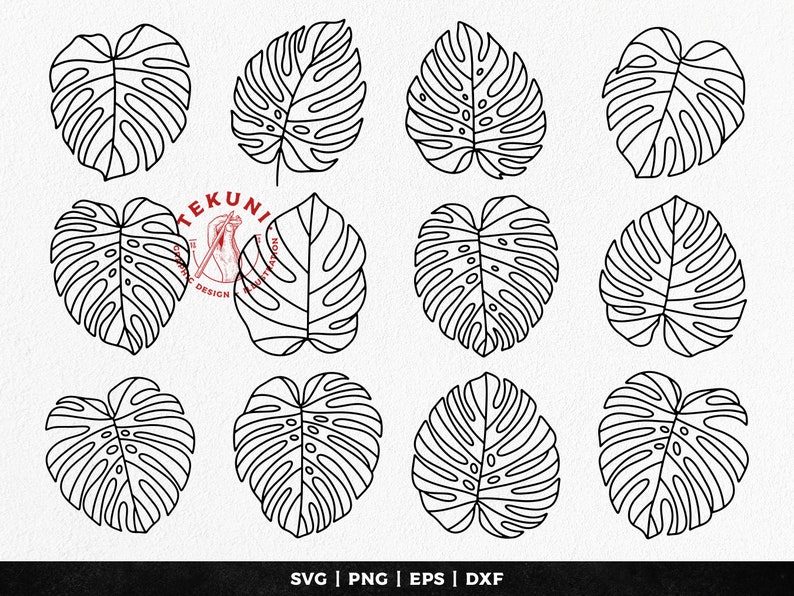 Monstera Leaf Svg Bundle Instant Download - Etsy