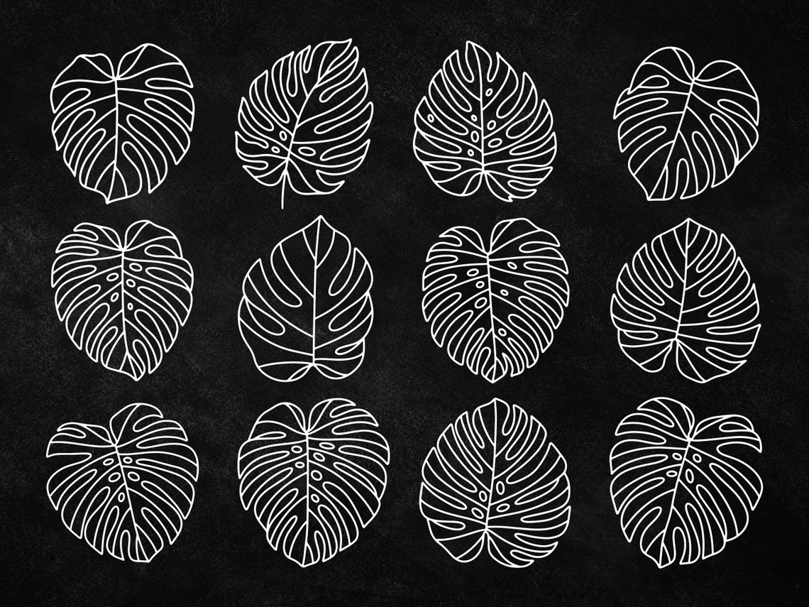 Monstera Leaf Svg Bundle - Instant Download - Etsy