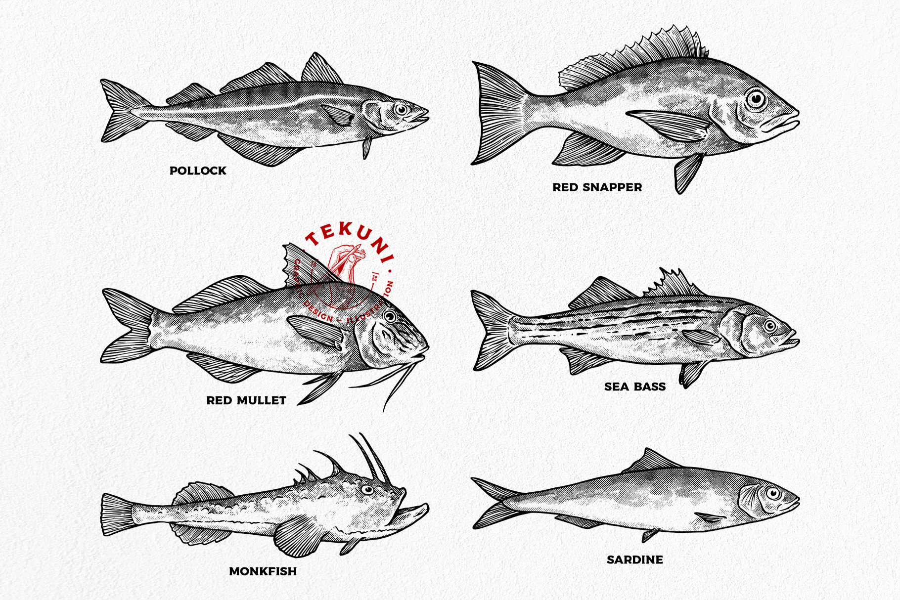 Saltwater Fish Hand-drawn Illustration Bundle, Fish Vector File ...