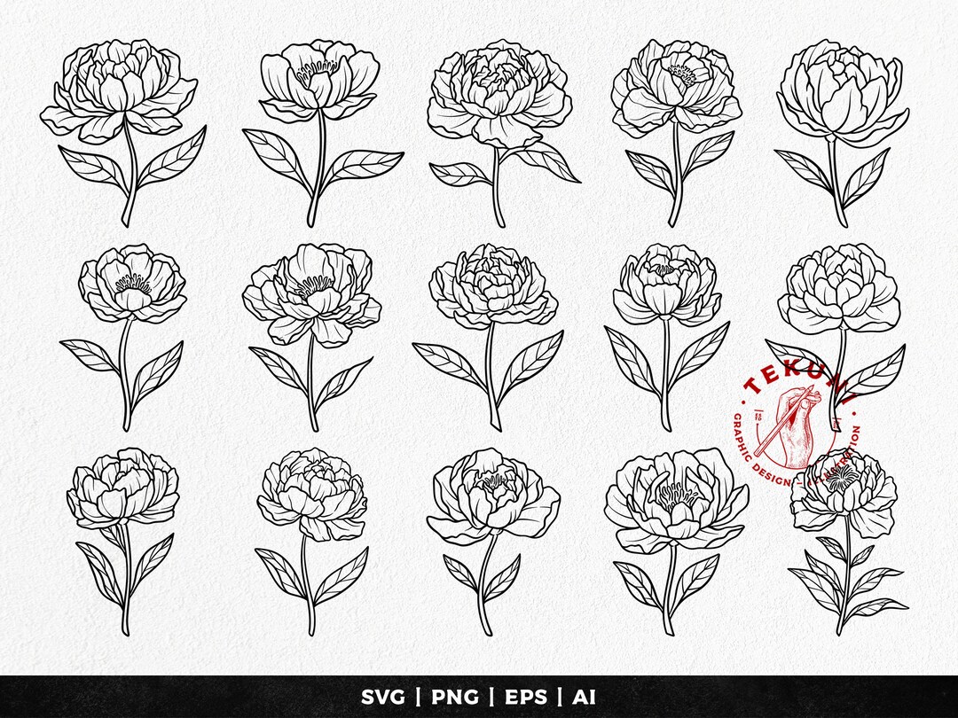 Set of Peony Svg Hand Drawn, Peony Flower Svg - Instant Download - Etsy