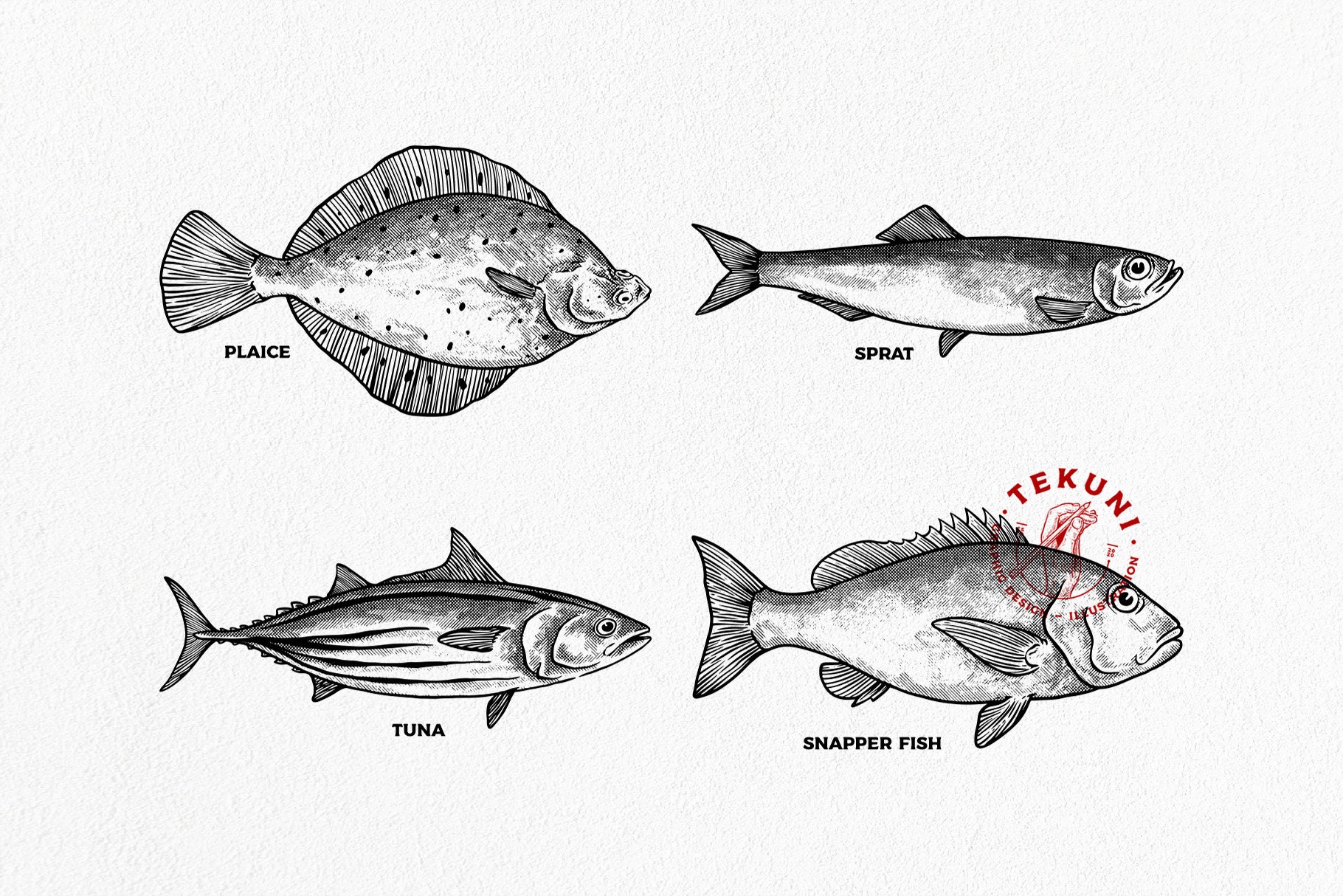 Saltwater Fish Hand-drawn Illustration Bundle, Fish Vector File ...