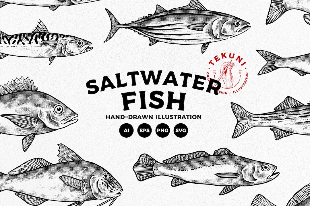 Saltwater Fish Hand-drawn Illustration Bundle, Fish Vector File ...