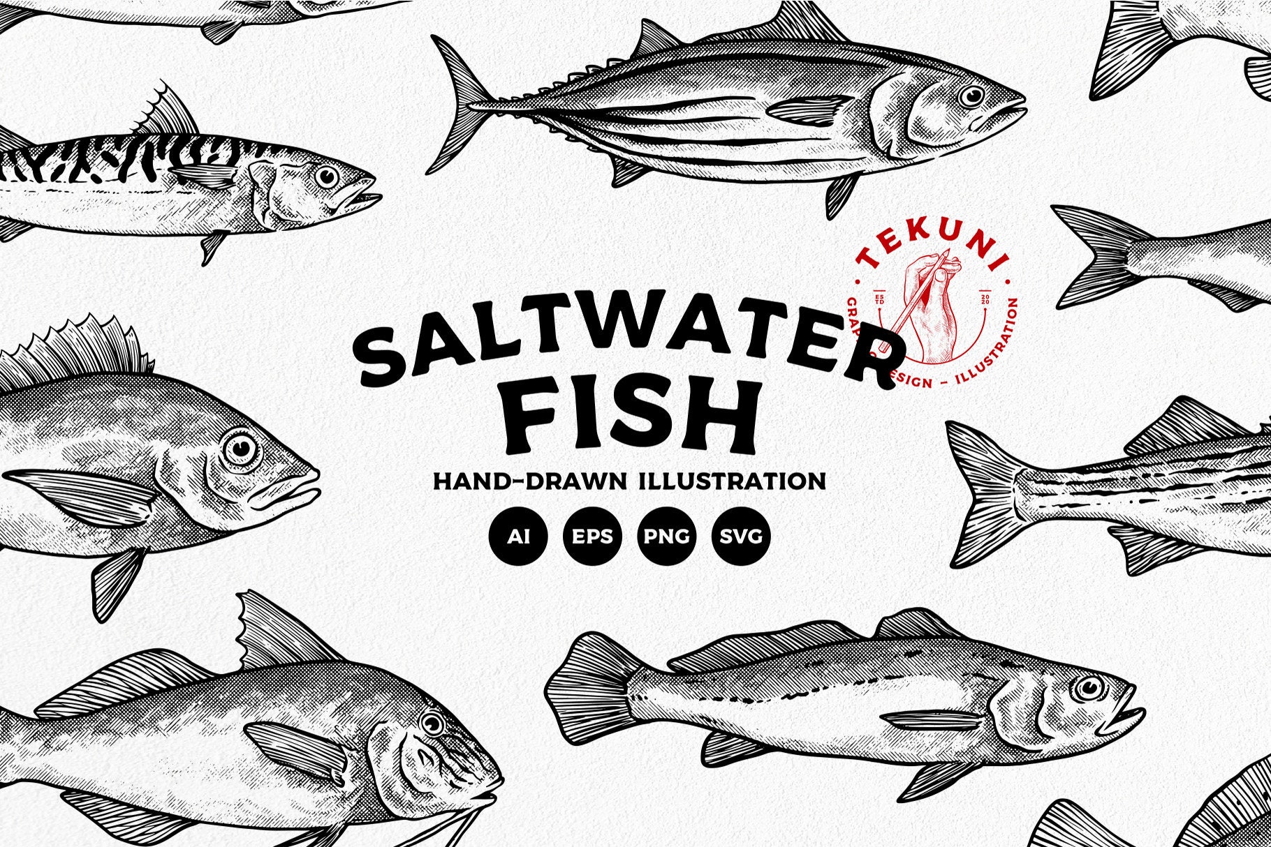 Saltwater Fish Hand-drawn Illustration Bundle, Fish Vector File ...