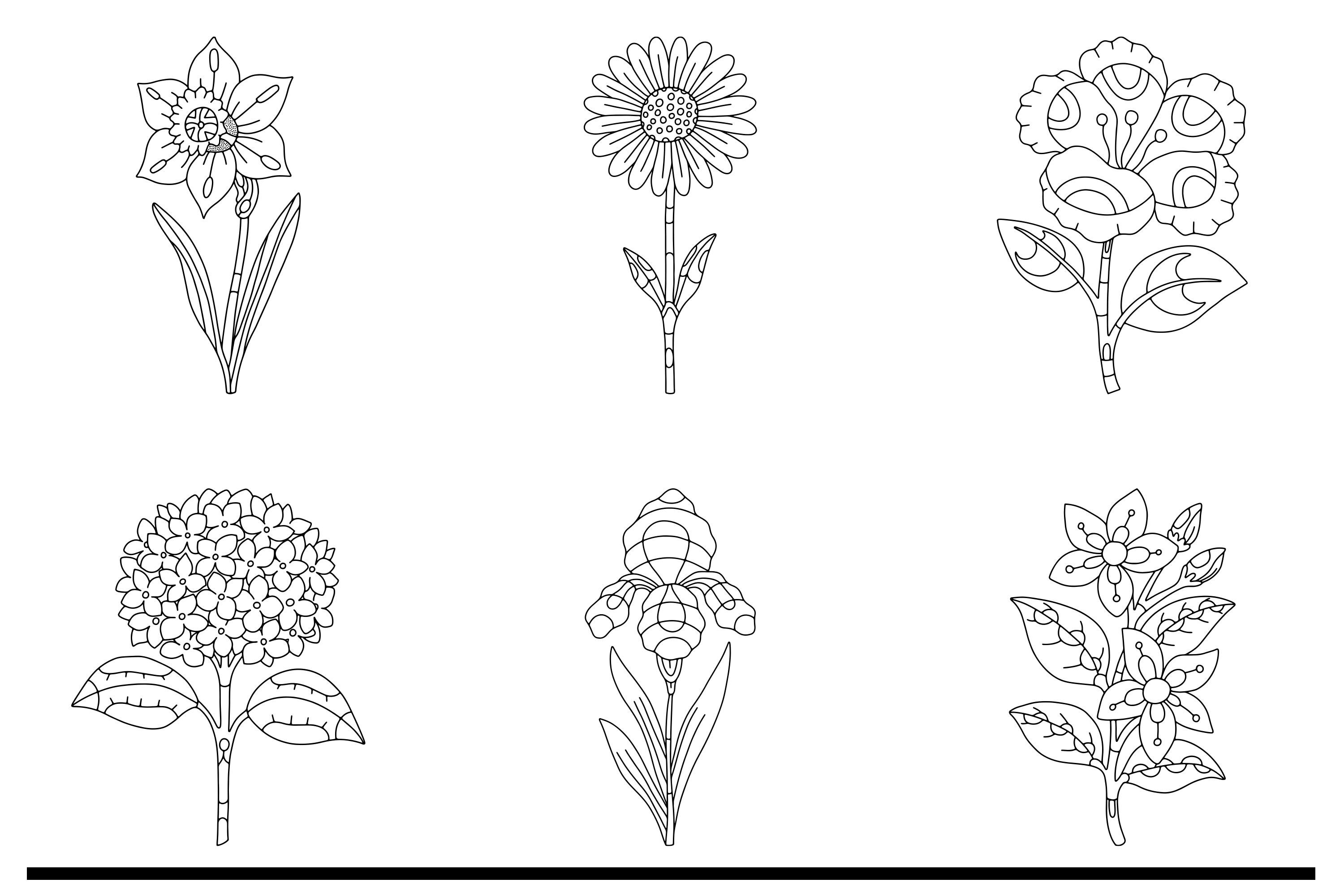 Doodle Flower SVG Line Art Bundle, Botanical Floral Illustrations for ...