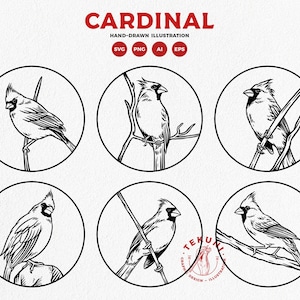 Cardinal Svg, Cardinal Ornament Svg Bundle, Instant Download - Etsy