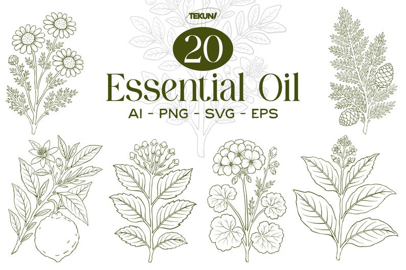 Essential Oil Botanical Line Art, Herbal SVG Bundle (digital Download ...
