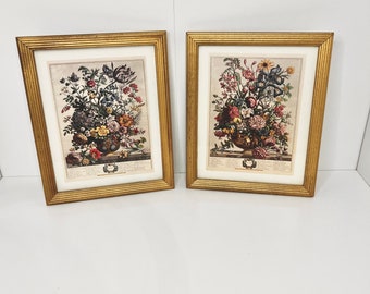 Robert Furber Flower of the Month - Etsy