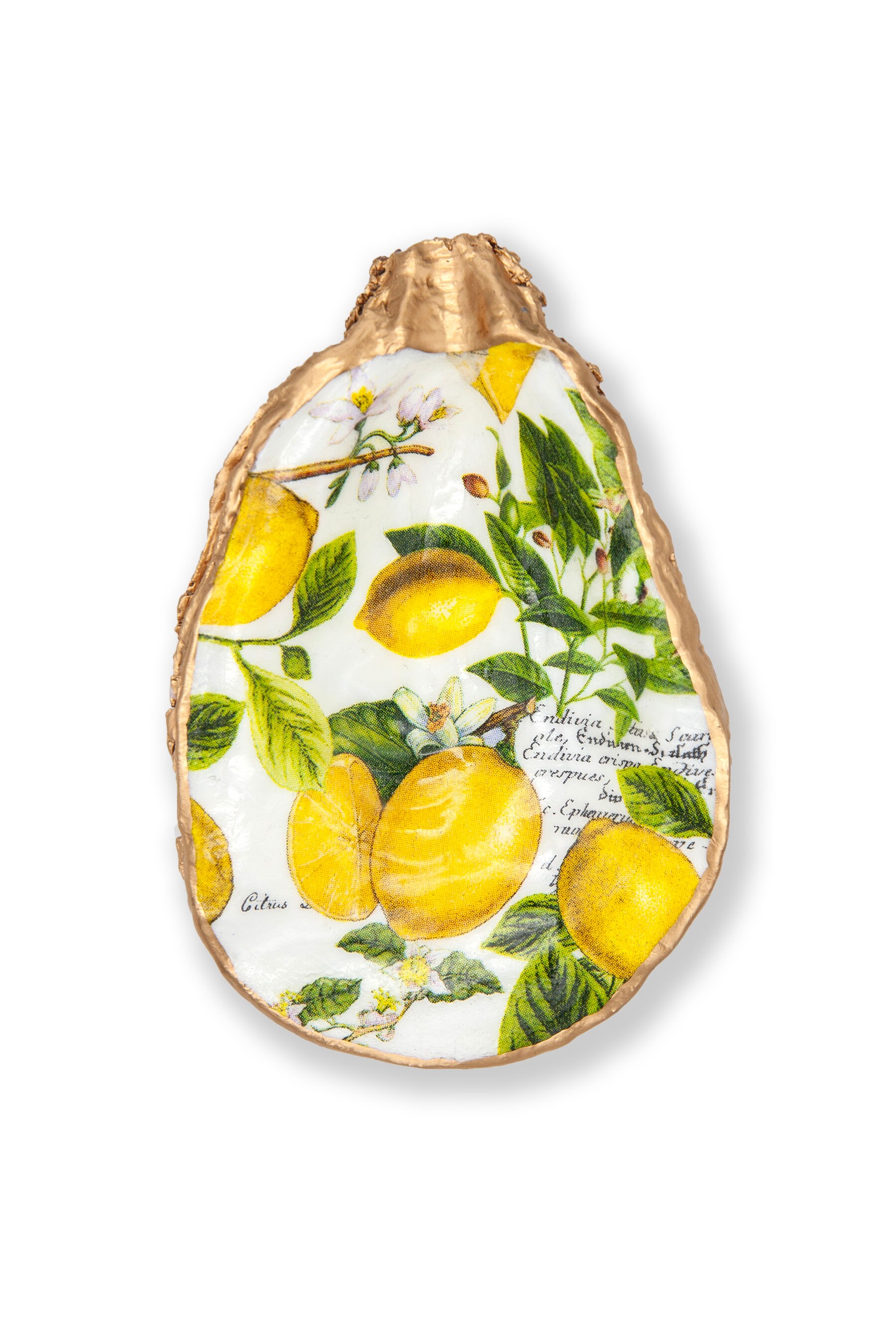 Lemon Writing - Etsy