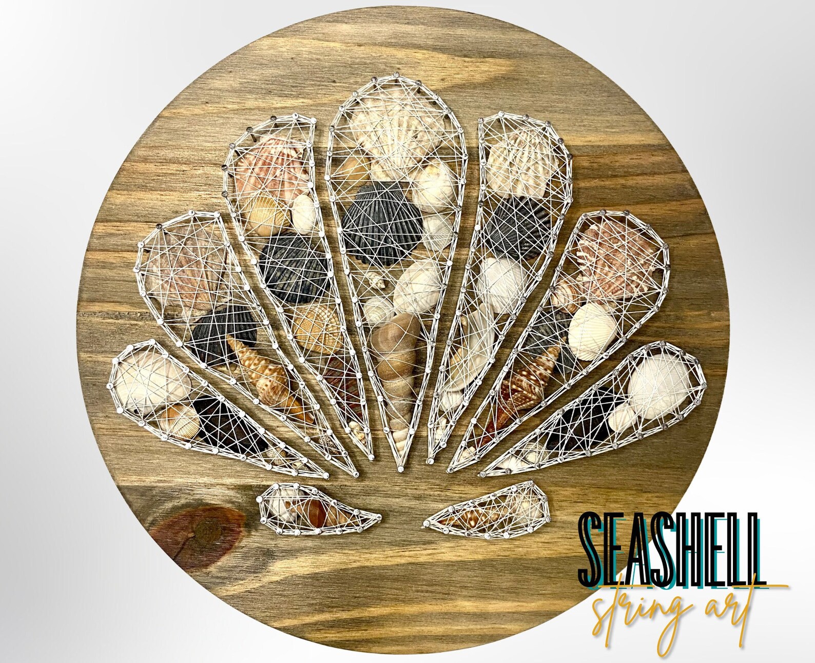 Seashell String Art - Etsy