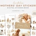 Daily Living Goodnotes Stickers for Everyday Life, Everyday Task ...