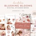 Ultimate Neutral Digital Sticker Bundle: Everything Essential Goodnotes ...