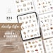 Ultimate Neutral Digital Sticker Bundle: Everything Essential Goodnotes ...