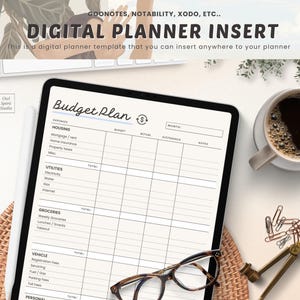 Budget Planner, Digital Planner Insert, Goodnotes Template, Planner ...