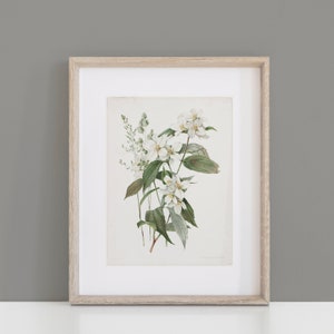 Gallery Wall Prints Set, Muted Spring and Summer Eclectic Gallery Wall ...