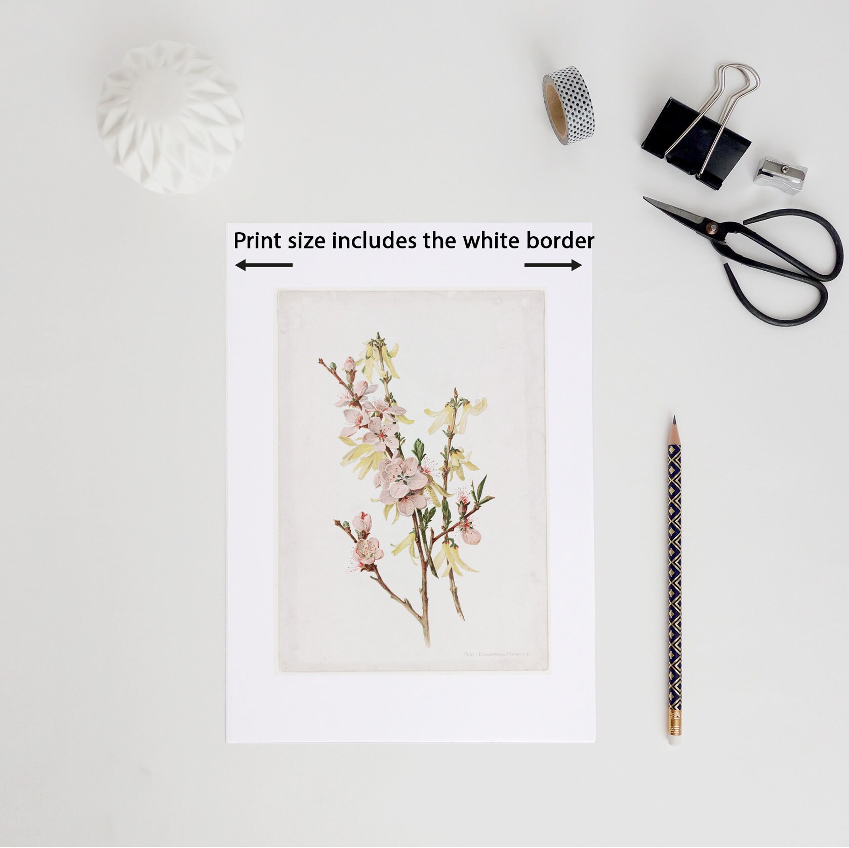 Vintage Botanical Print Set Plant Paintings Ivy Spring - Etsy UK