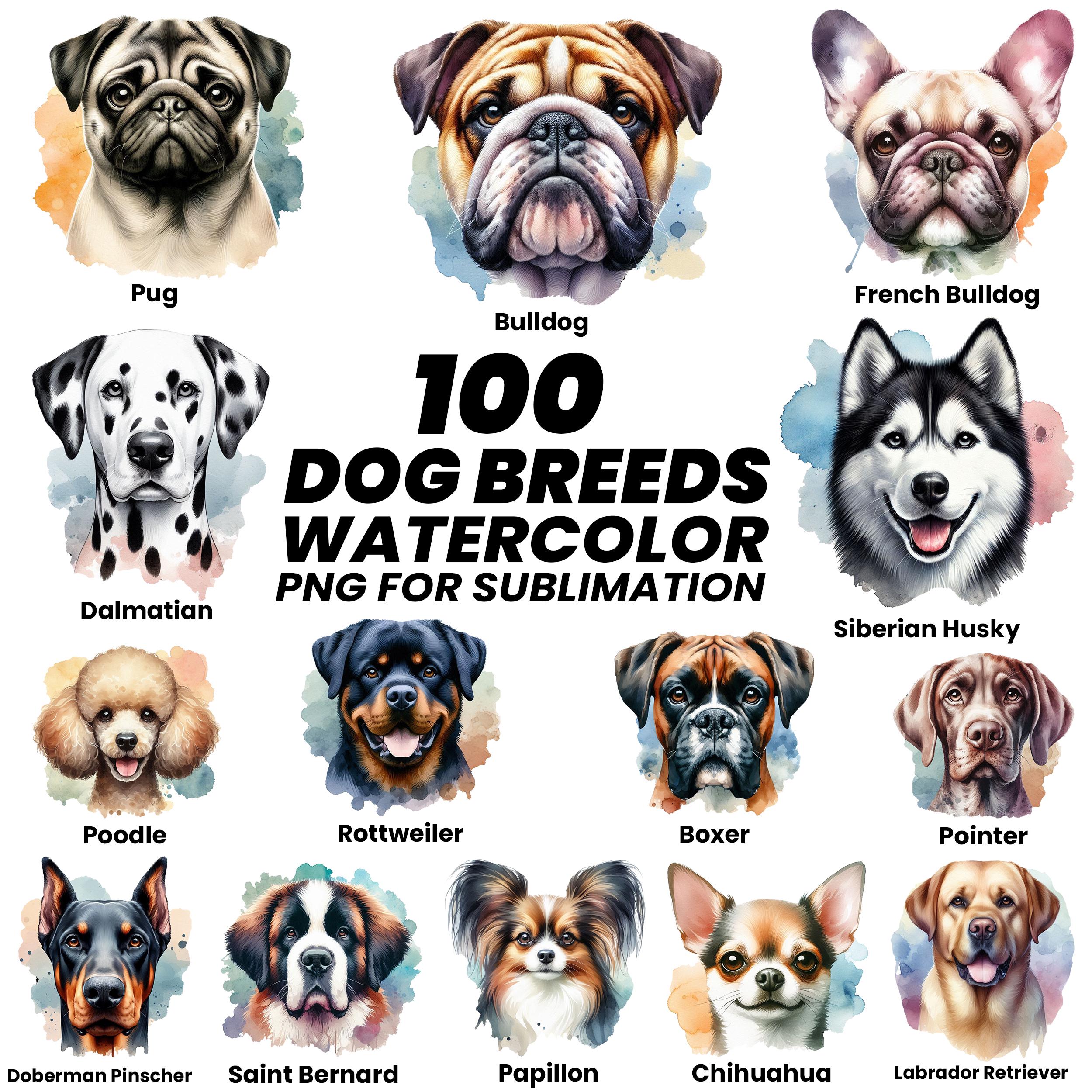 Dog Breeds Watercolor PNG Dog Breed Portraits Pet Dog Wall Art Dog ...