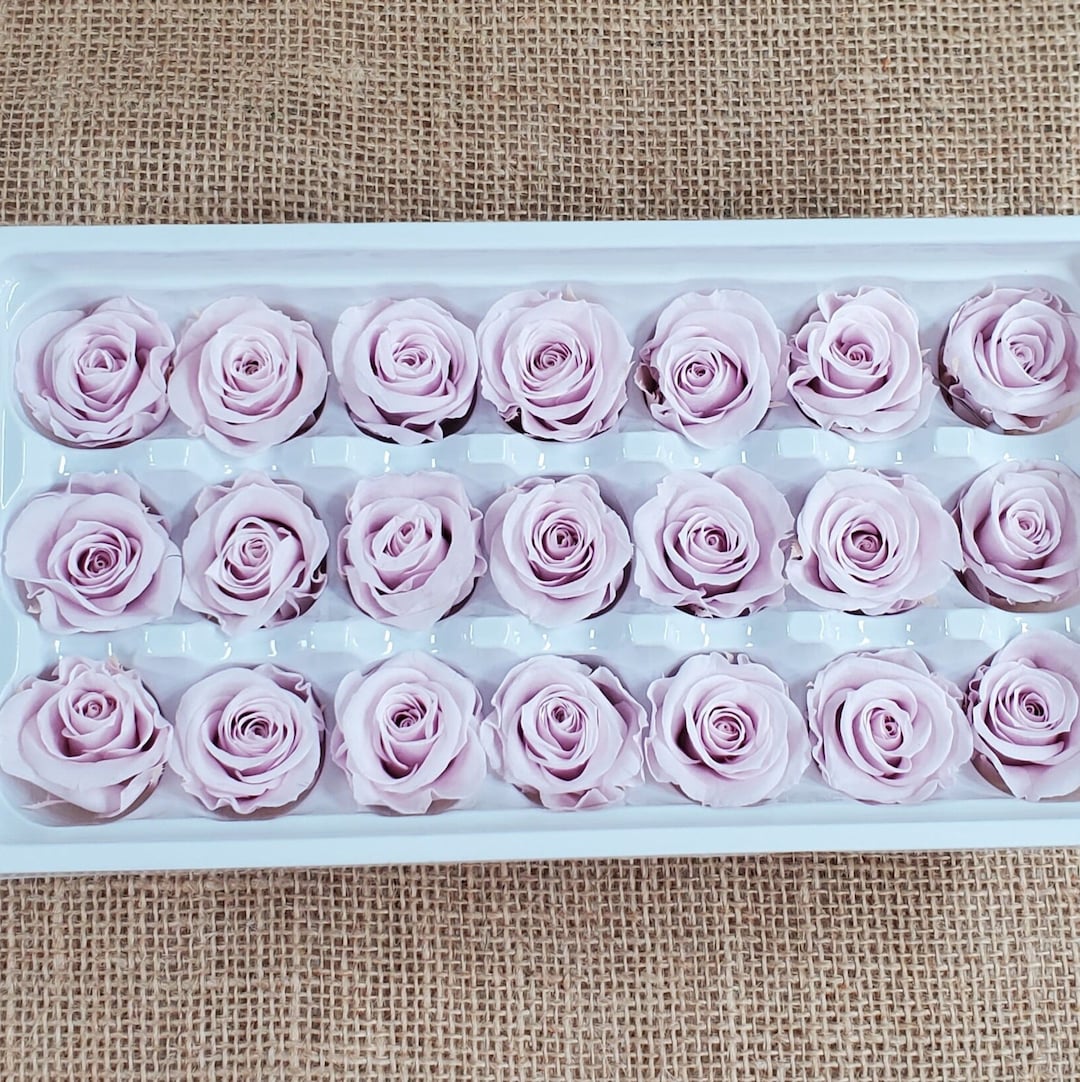 21 Preserved Roses Light Purple, Mother's Day Flowers, Wedding Decor ...