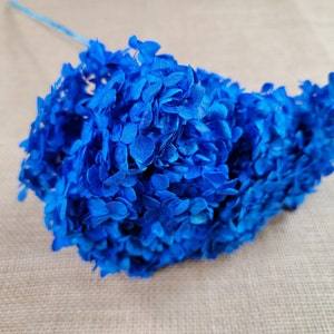 Preserved Hydrangea in Blue, Preserved Hydrangea, Dried Hydrangea ...