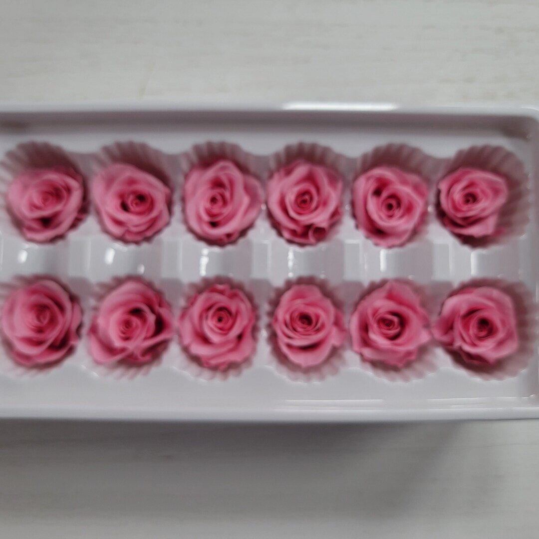 12 Real Preserved Roses, Hot Pink Rose Heads, Preserved Hot Pink Roses ...