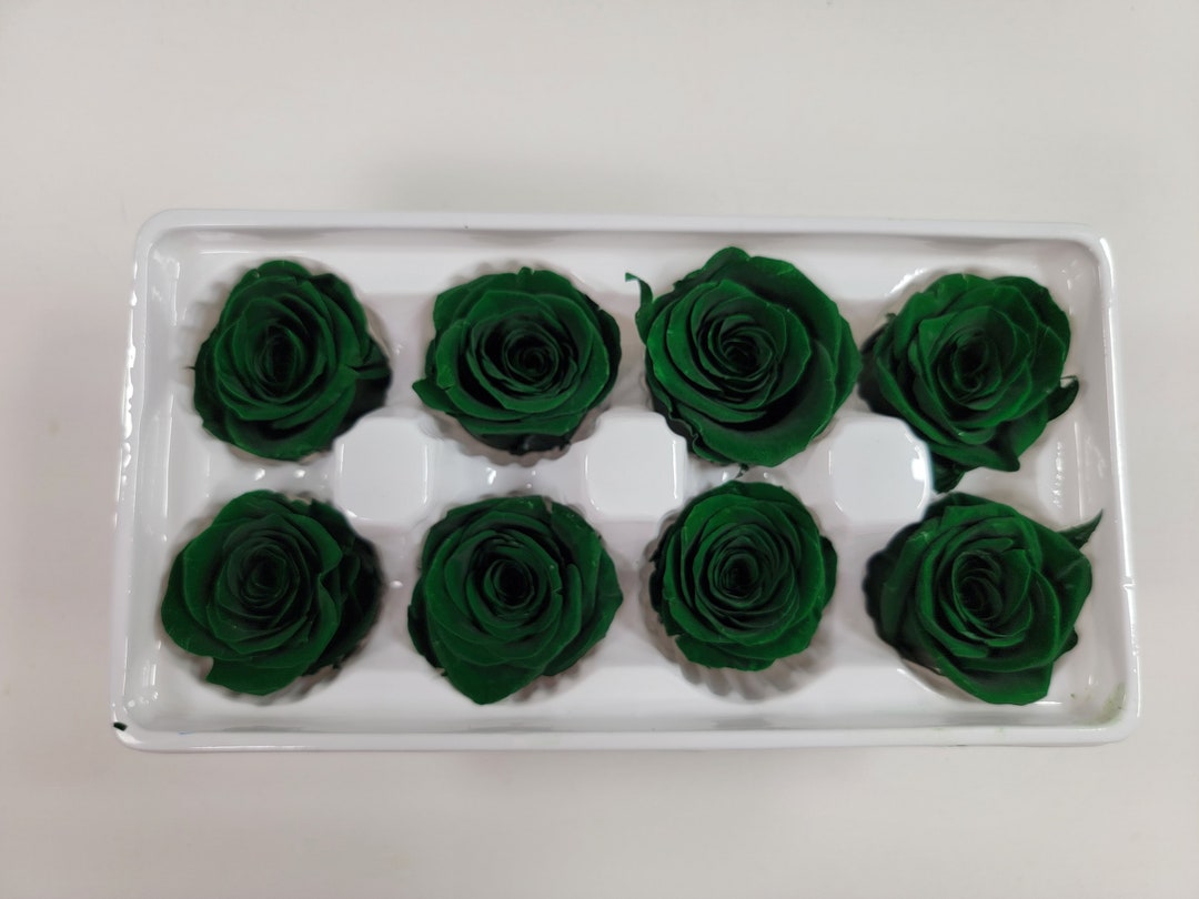8 Dark Green Preserved Roses / Prom, Mother's Day Flowers, Wedding ...