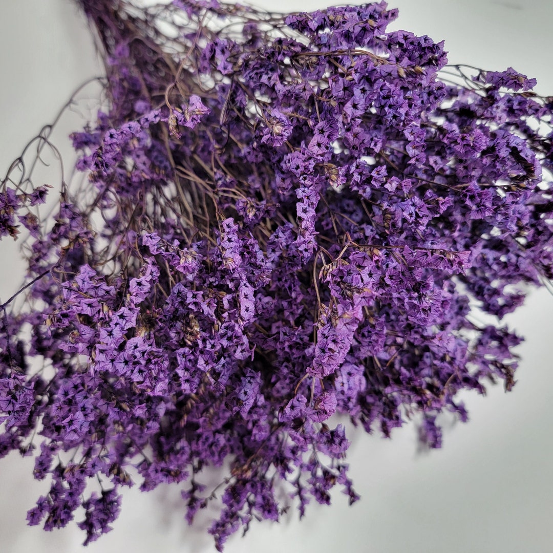 Purple Preserved German Statice, Limonium Dried Flower, Crystal Flower ...