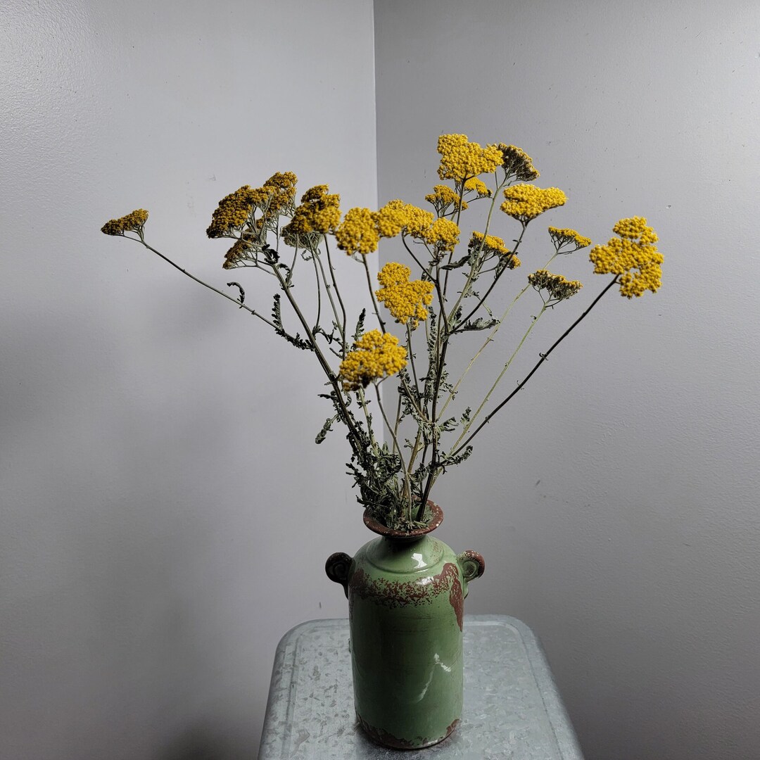 Dried Yellow Yarrow Bunch, Natural Floral Arrangement, Home Decor, 10 ...