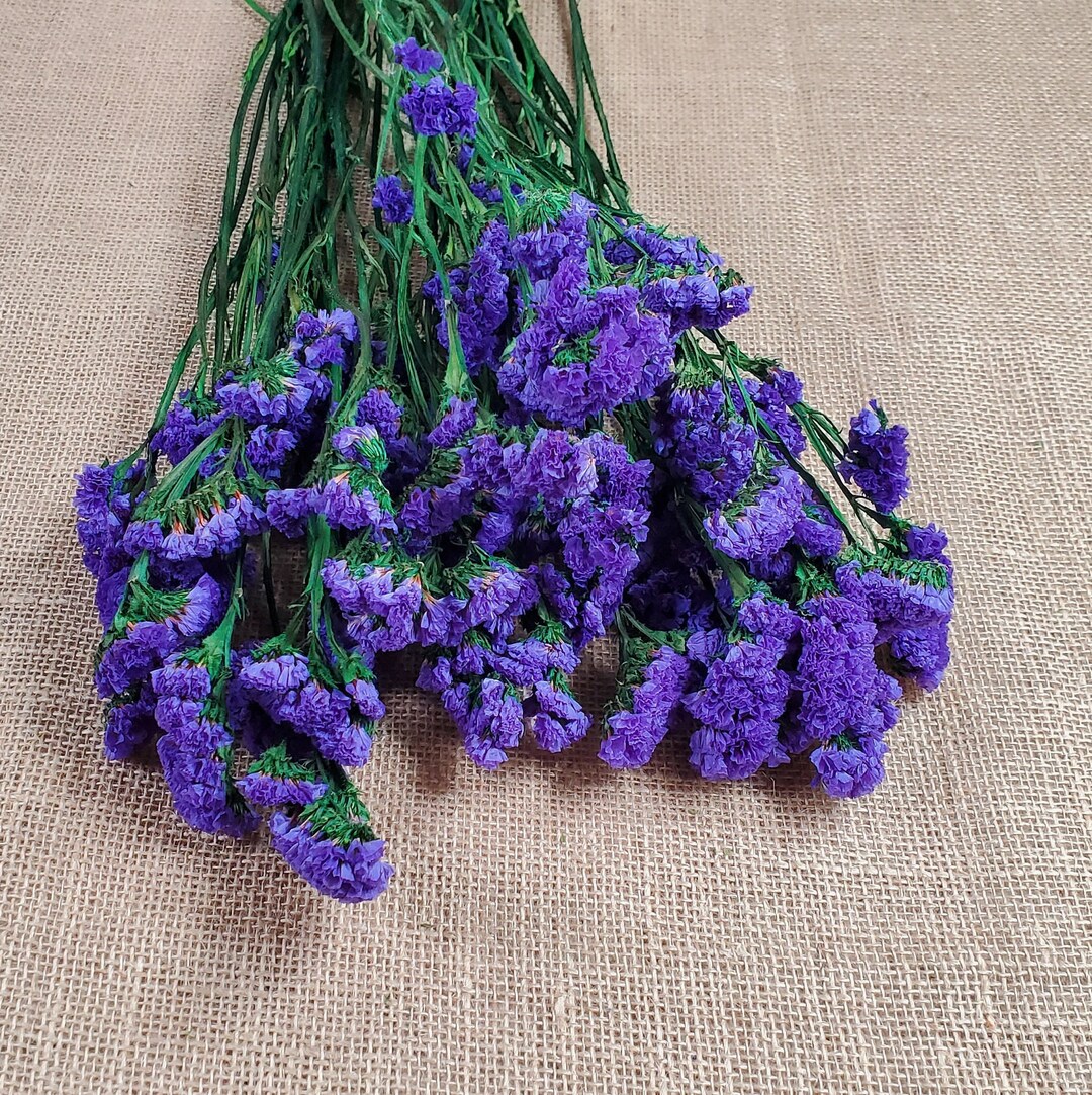 Dark Purple Preserved Statice Flowers for Bouquet, Floral Arrangements ...