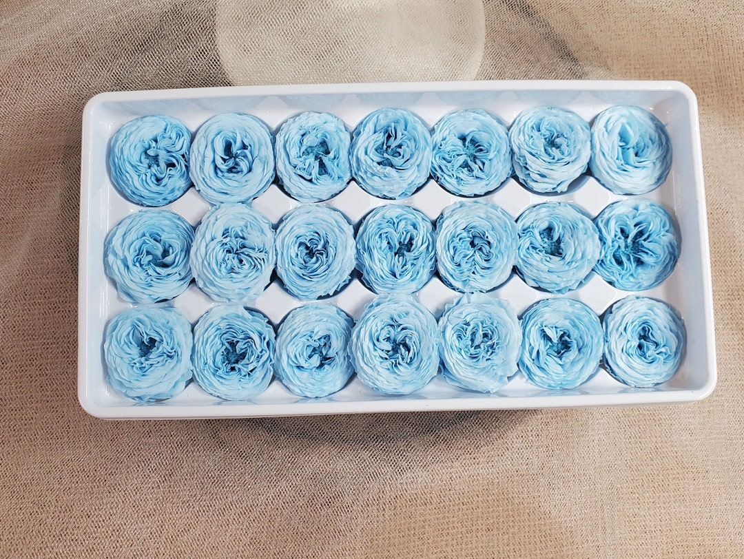 21 Sky Blue Preserved Roses: Dried Floral Wedding Decor - Etsy