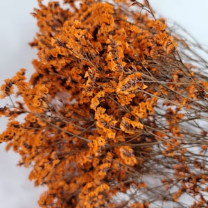 Orange Preserved German Statice, Limonium Dried Flower, Crystal Flowers ...