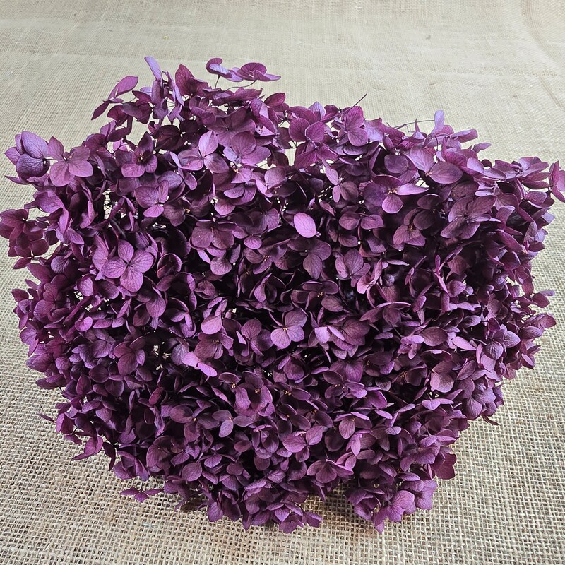 Hydrangea Purple - Etsy