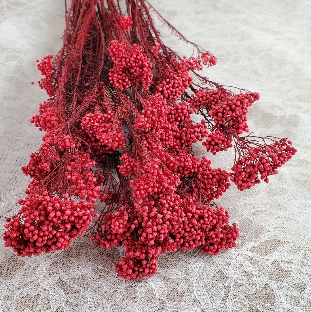 Light Red Preserved Rice Flower, Flowers for Bouquets, Wedding Flowers ...