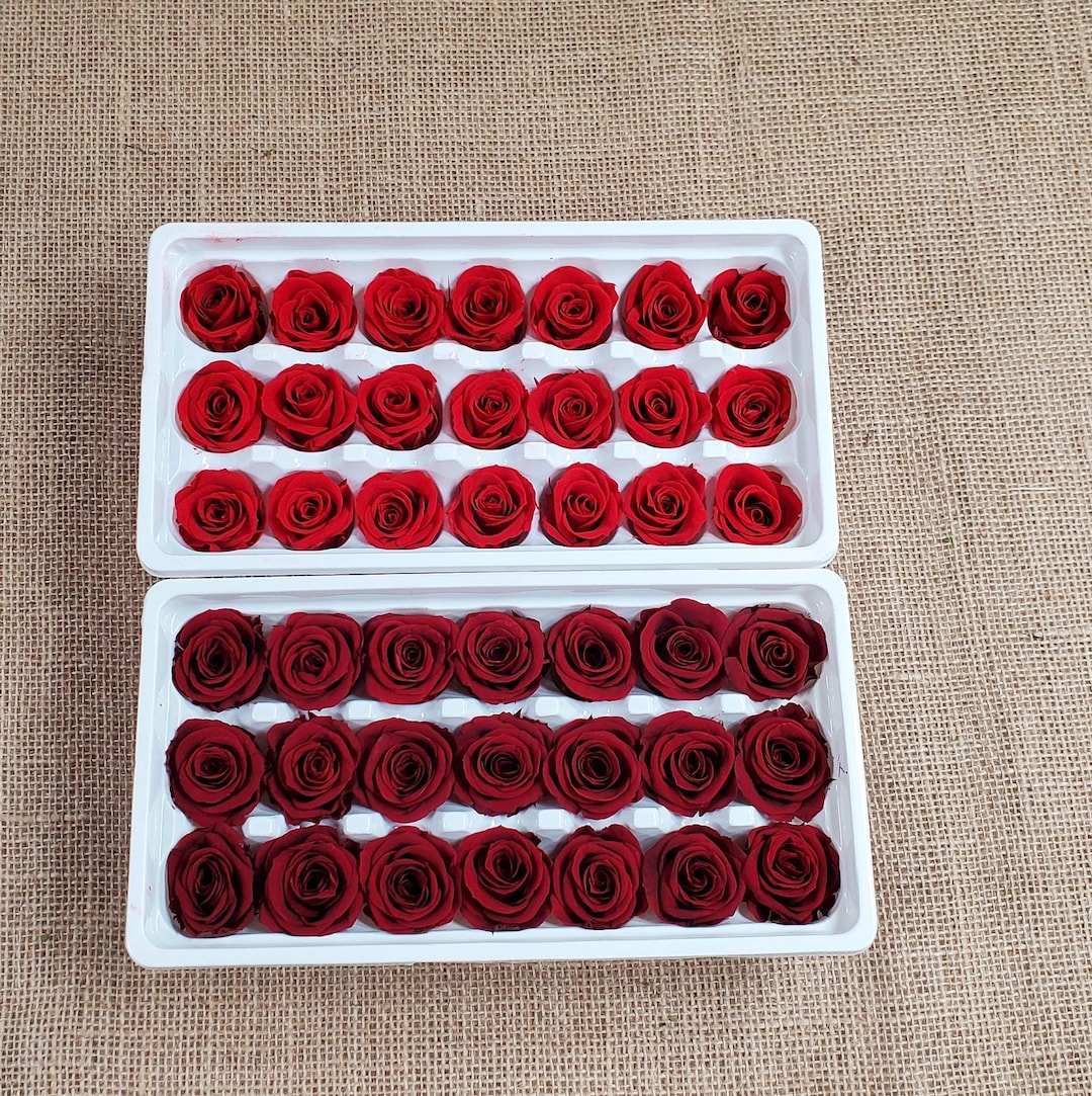 21 Red Preserved Roses / Prom, Mother's Day Flowers, Wedding Decor, Red ...