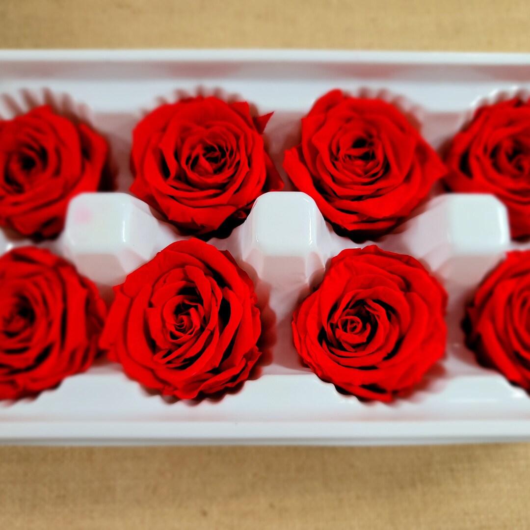 8 Dried Red Preserved Roses / Prom, Mother's Day Flowers, Wedding Decor ...