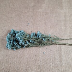 Light Blue Preserved Rice Flower, Flowers for Bouquets, Wedding Flowers ...