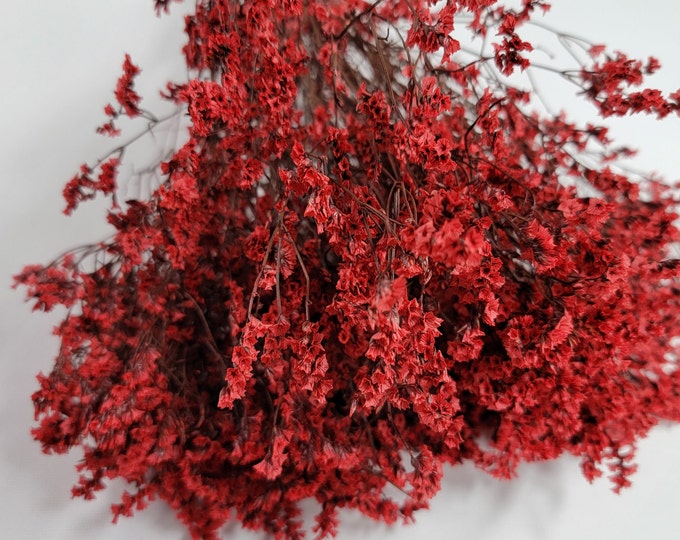 Red Preserved German Statice: Dried Limonium Flowers, DIY Floral ...