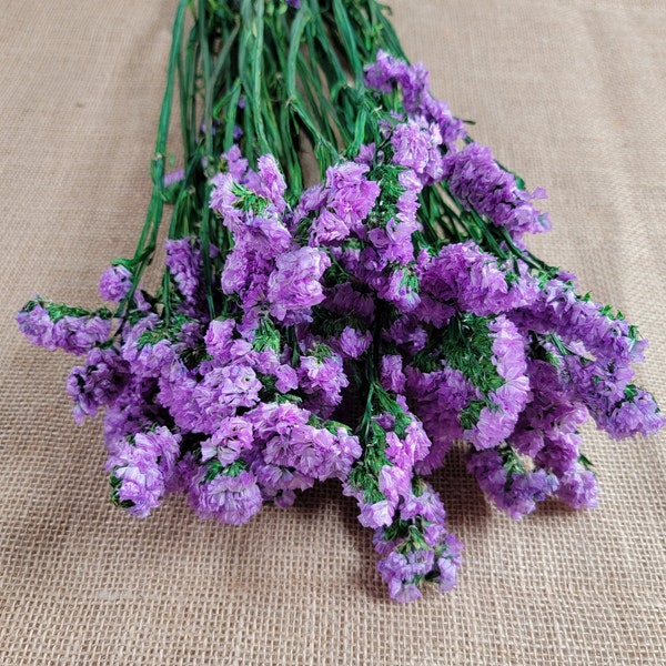Statice Flowers - Etsy
