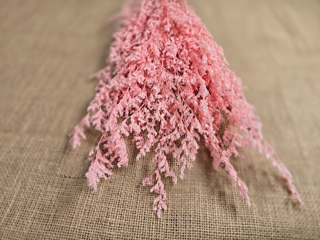 Caspia in Pink Color, Soft Preserved Floral Arrangements, White Flowers ...