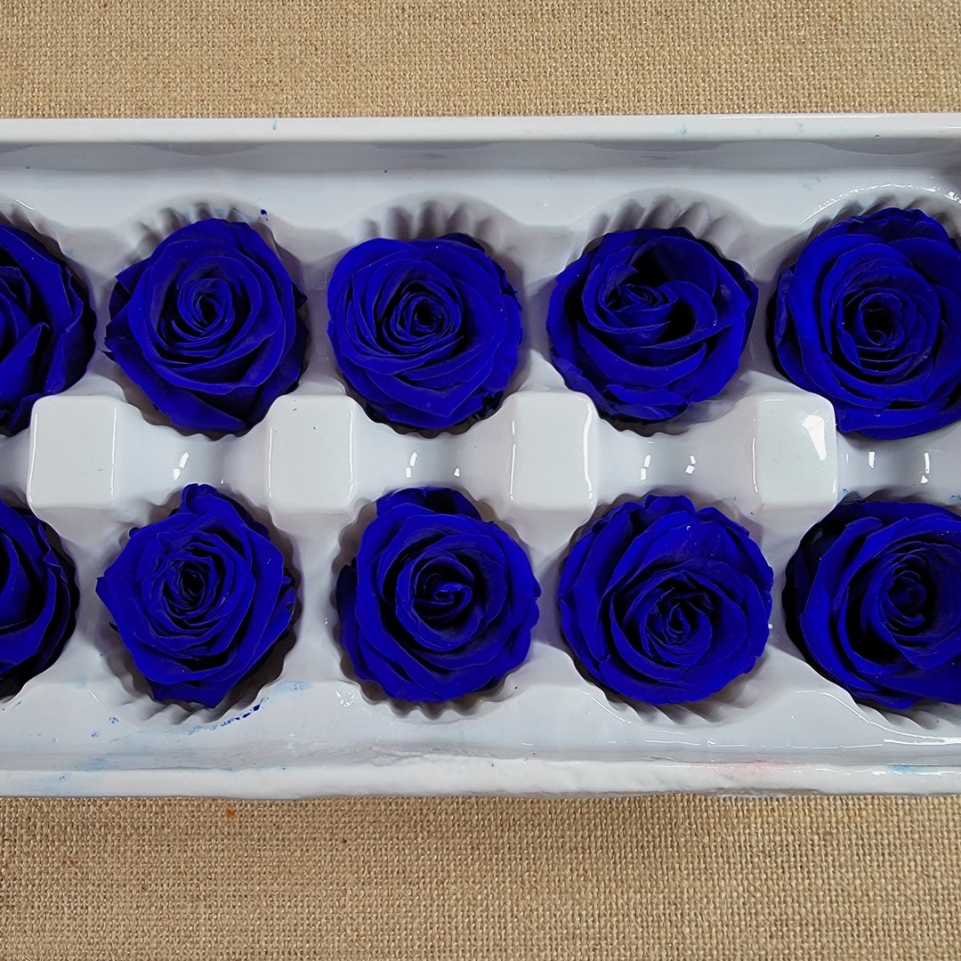 10 Royal Blue Preserved Rose Heads: Wedding Floral Decor - Etsy