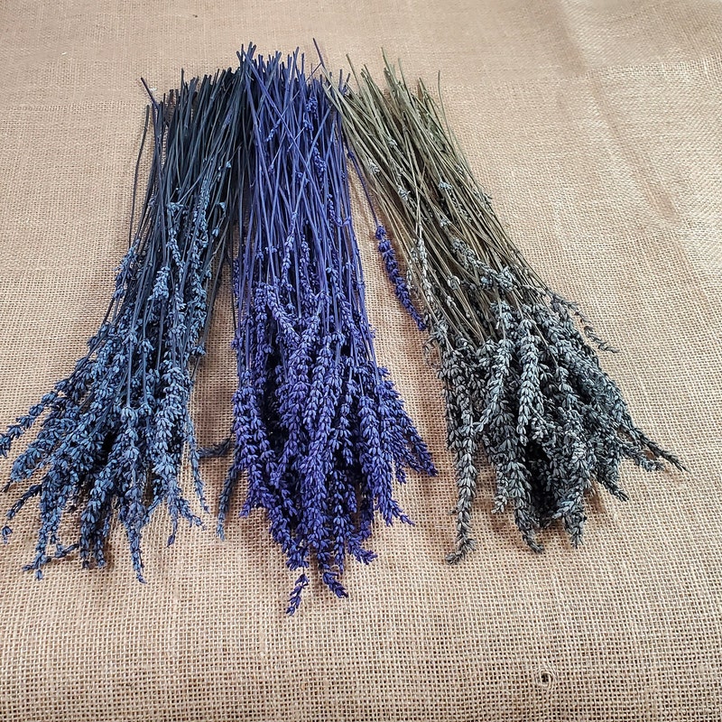 Lavender Sprigs - Etsy