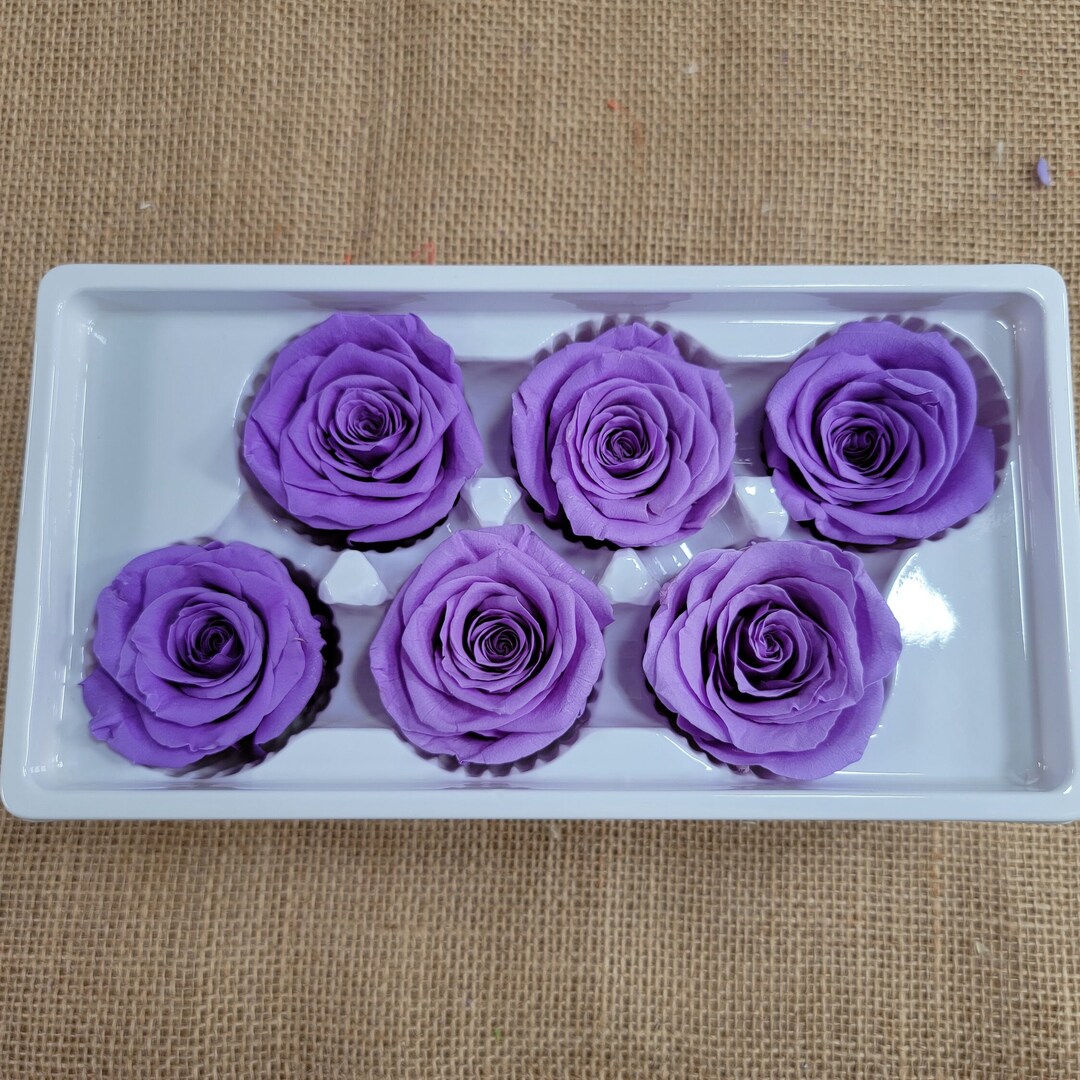 6 Purple Preserved Roses / Prom, Mother's Day Flowers, Wedding Decor ...