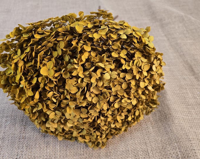 Yellow Preserved Hydrangea: Real Dried Wedding Flowers - Etsy