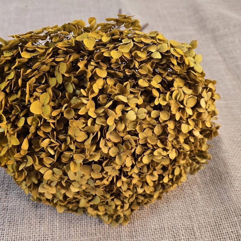 floristbolchunee - Etsy