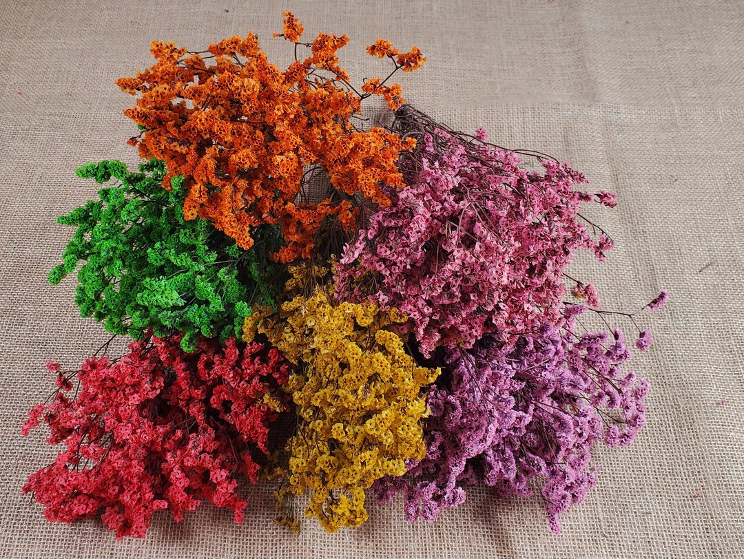 Preserved German Statice, Limonium Dried Flower, Crystal Flowers ...