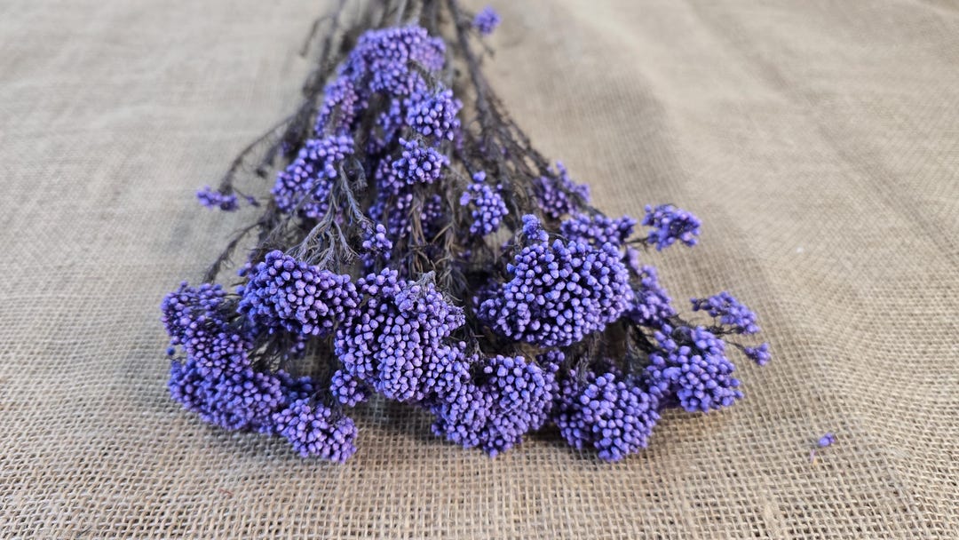 Purple Preserved Rice Flower, Flowers for Bouquets, Wedding Flowers ...